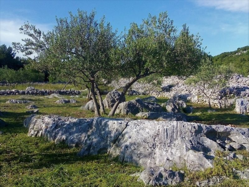 OPG Birin – Dobrodošli!