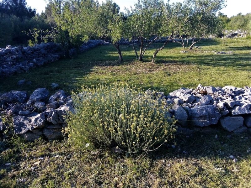OPG Birin – Dobrodošli!